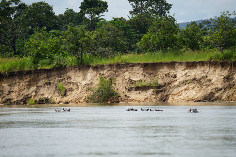 Congo, DRC, Angola Tour | Unique Destinations | CultureRoad